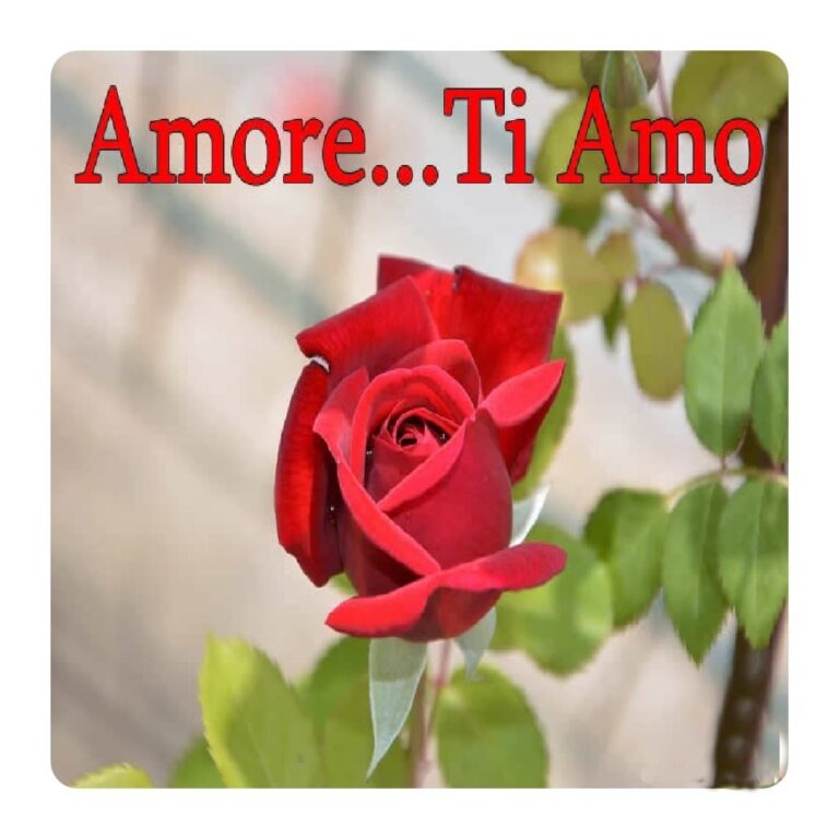 Immagini Ti Amo: Le 20 Immagini Più Condivise per Dire "Ti Amo" nel 2024 - Ti auguro
